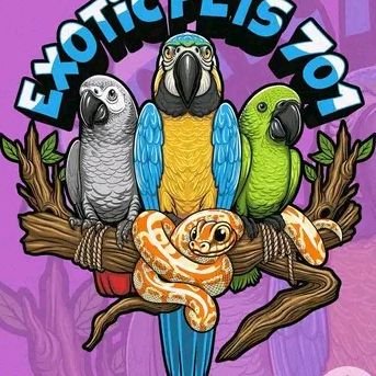 Exotic Pets 701 | Parrots, Macaws & Exotic Birds for Sale